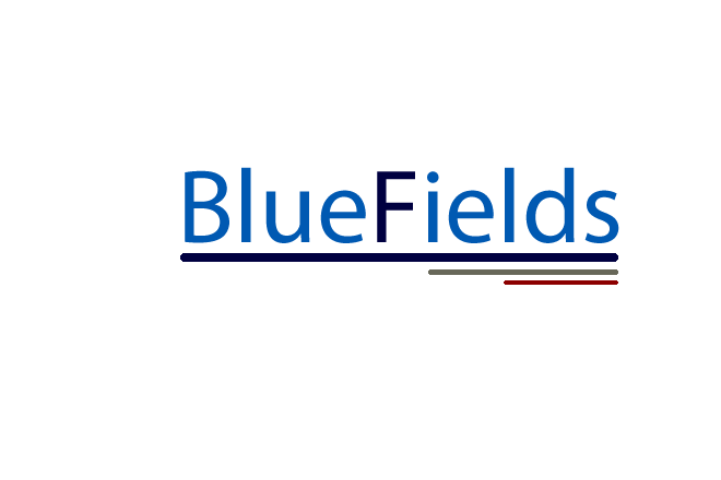 Broken System... - Bluefields